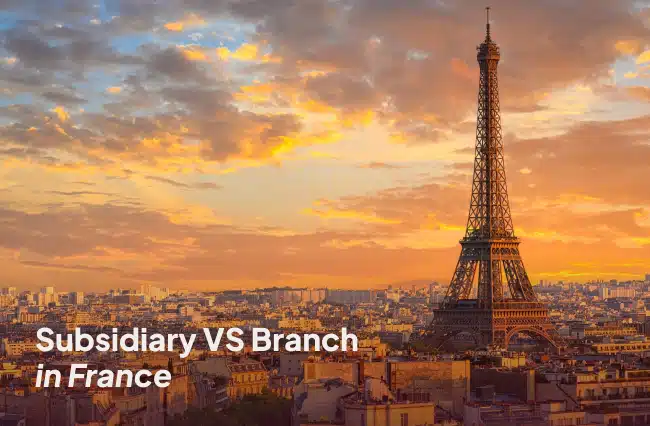 Subsidiary Vs Branch In France - Full Comparison Guide